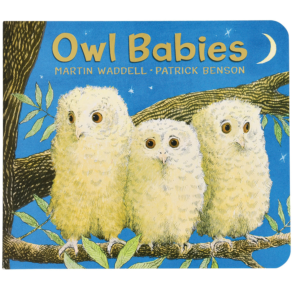 Owl Babies Board Book