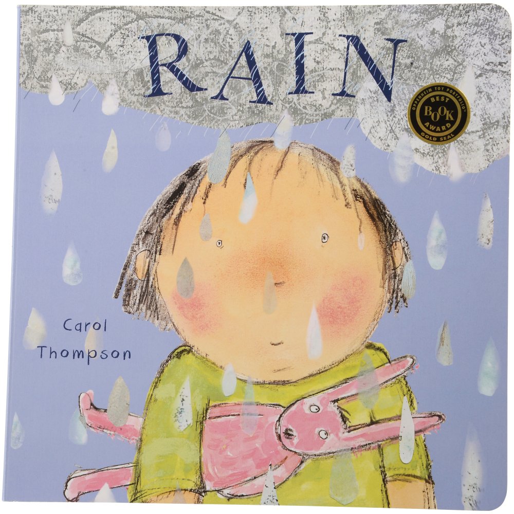 Whatever the Weather! Rain Board Book | Sensory Exploration for ...