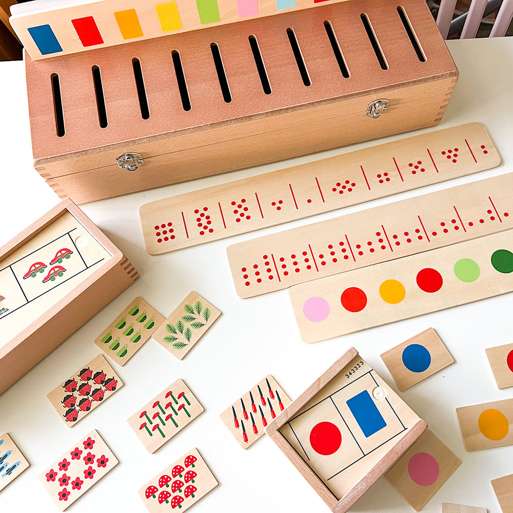 Wooden Sorting, Learning Boxes and Trays