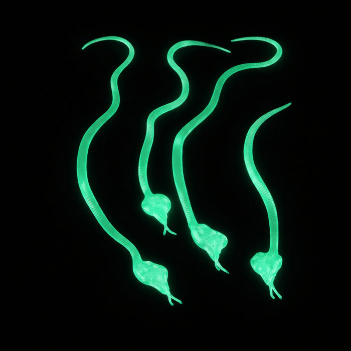 Glow-in-the-Dark STEM Discovery Tool - Set of 12