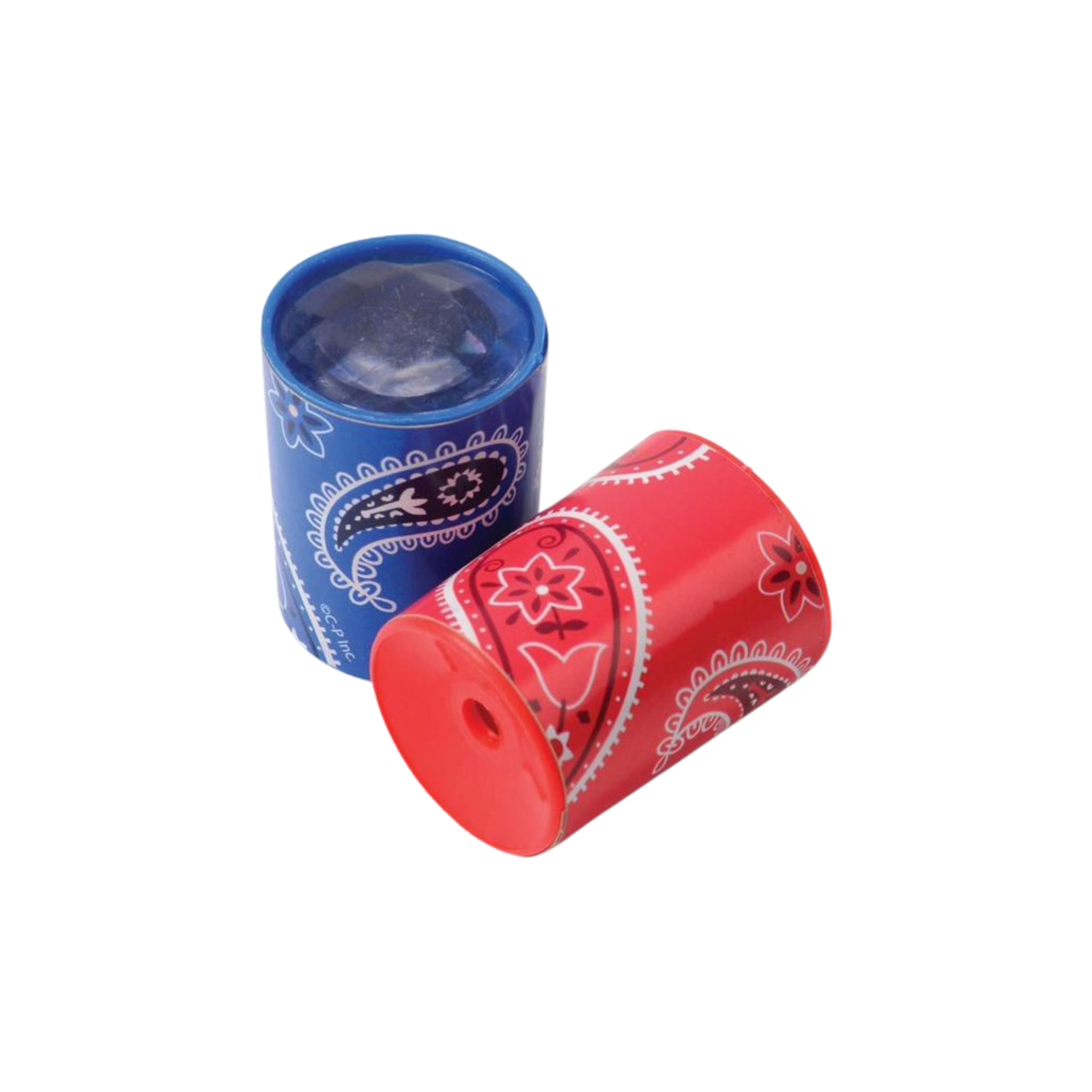 Prism Student Rewards - STEM Camp