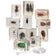 Geoworld Bugs World Collection: 12 Real Insects for STEM Learning ...