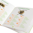 Geoworld Bugs World Collection: 12 Real Insects for STEM Learning ...