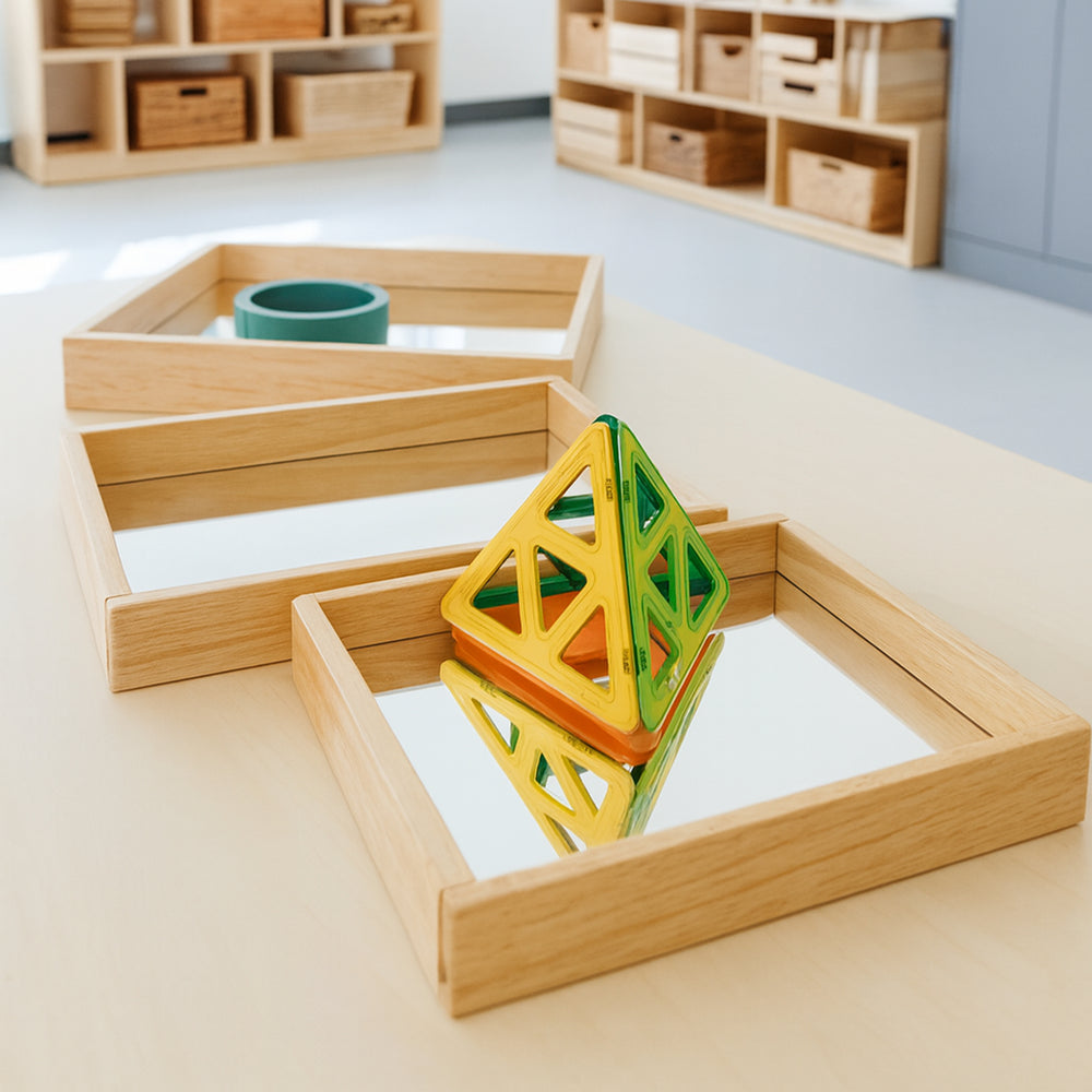 Reflective Observation Trays | Set of 3 Double-Sided Mirrored Wooden ...