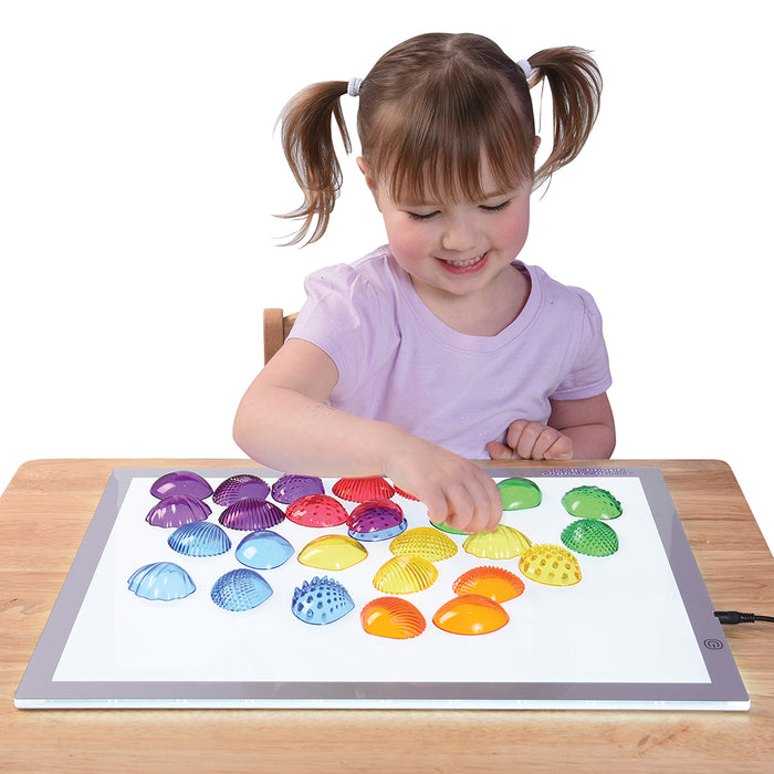 Translucent Tactile Shells: Sensory Exploration for Kids