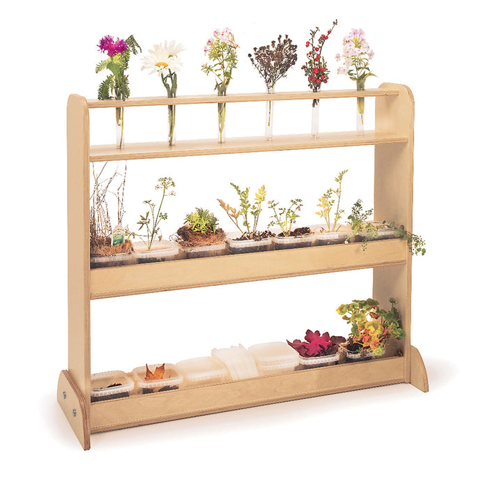 Nature Shelf | Classroom Planting Shelf for Hands-On Early Learning