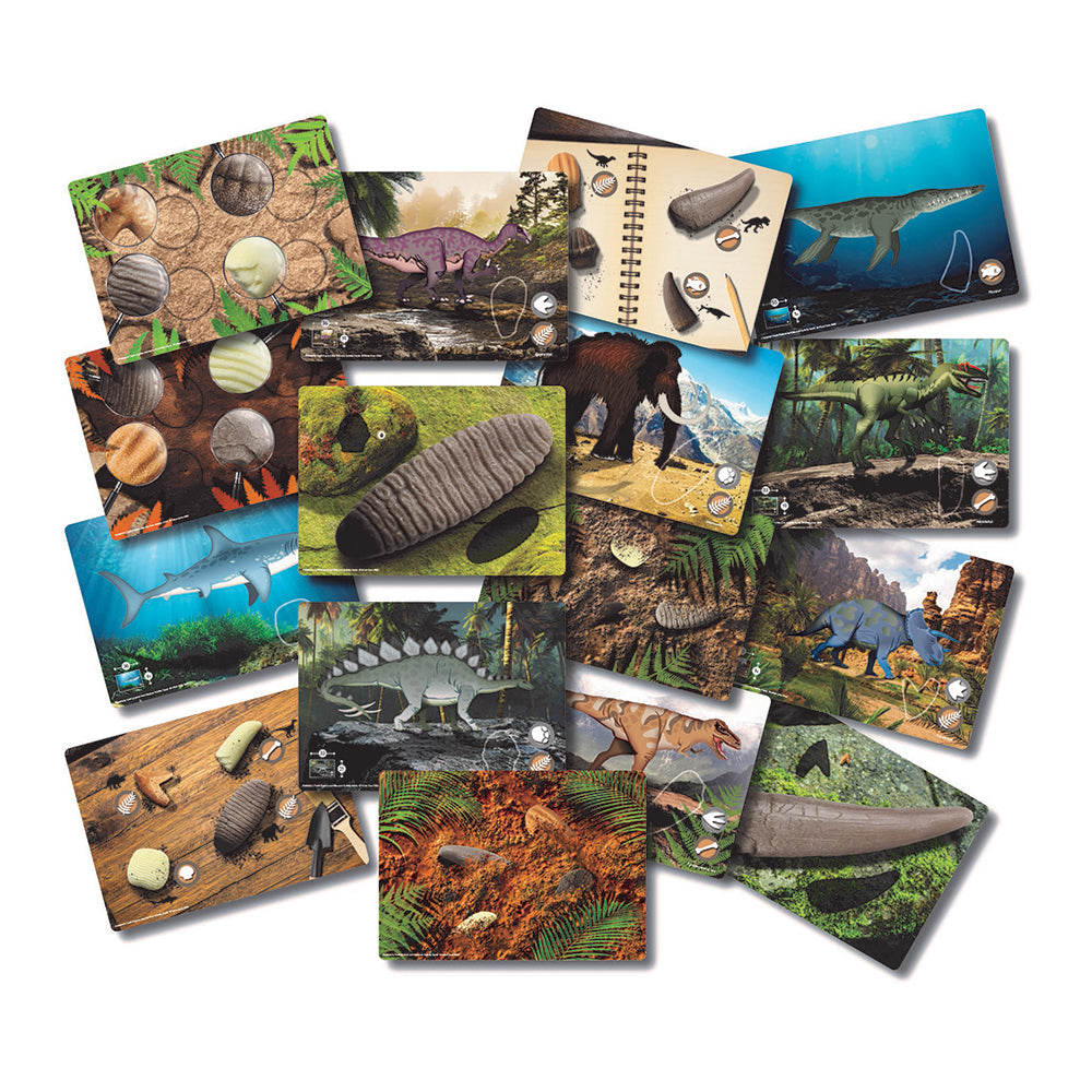 Prehistoric Teeth Explore & Discover Cards: Unveiling Ancient Mysteries ...