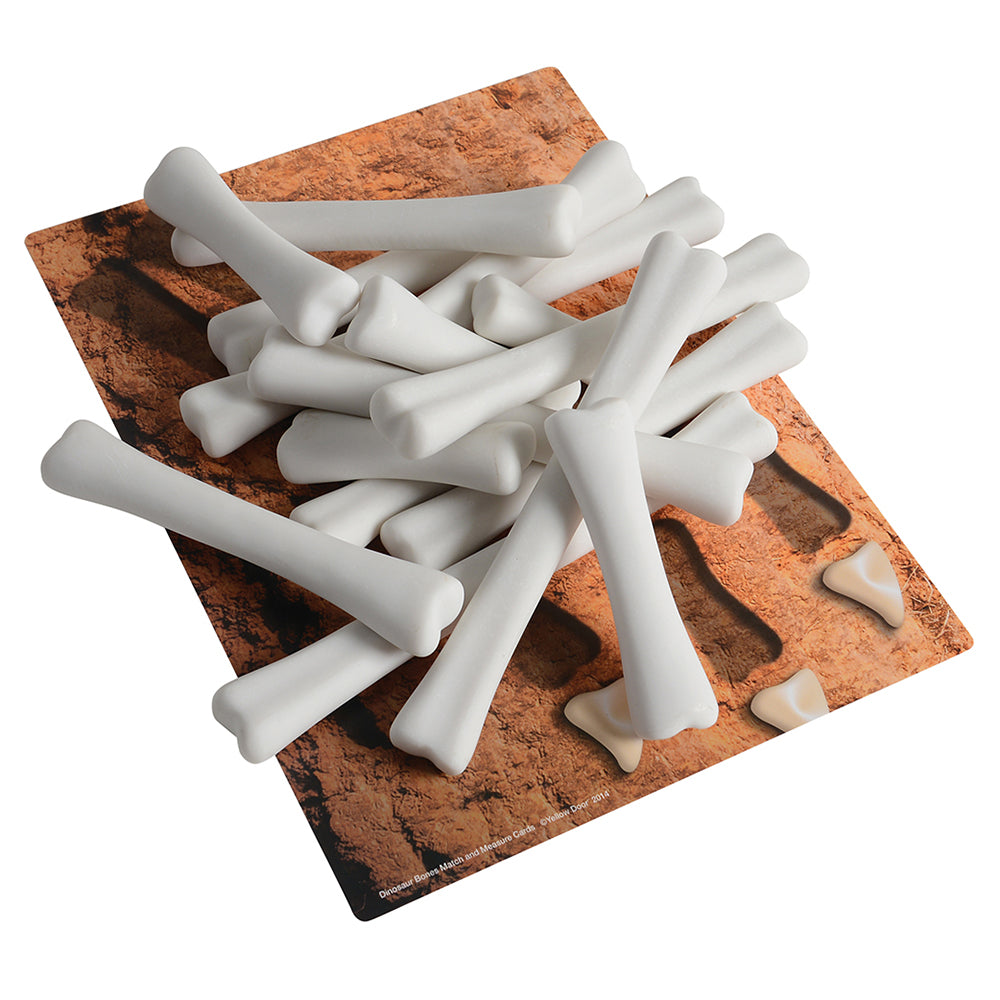 Dinosaur Bones with Match & Measure Cards Exploration Set