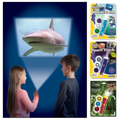 Discovery Projectors / Series 2