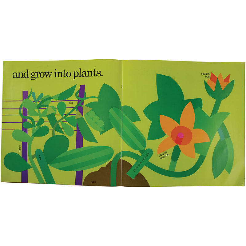 Look And Learn Big Book-Growing Senses