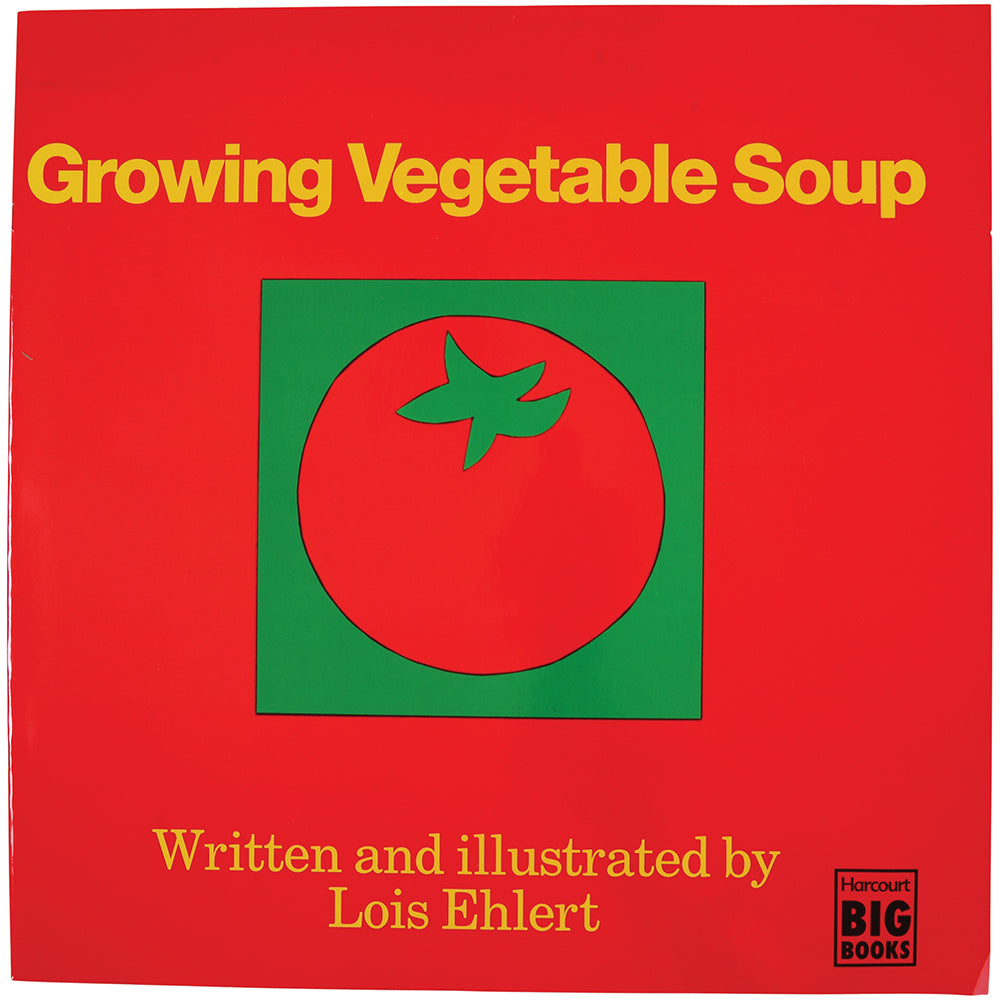 Look And Learn Big Book-Growing Senses