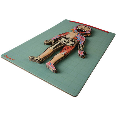 Magnetic Body Puzzle - Learn about the Body