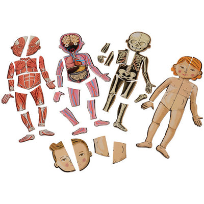 Magnetic Body Puzzle - Learn about the Body