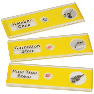 Prepared Slide Kit - Plants for use with Microscope