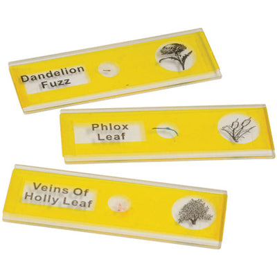 Prepared Slide Kit - Plants for use with Microscope
