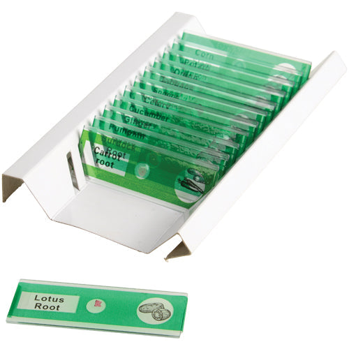 Prepared Slide Kit -Vegetables for use w/ microscope