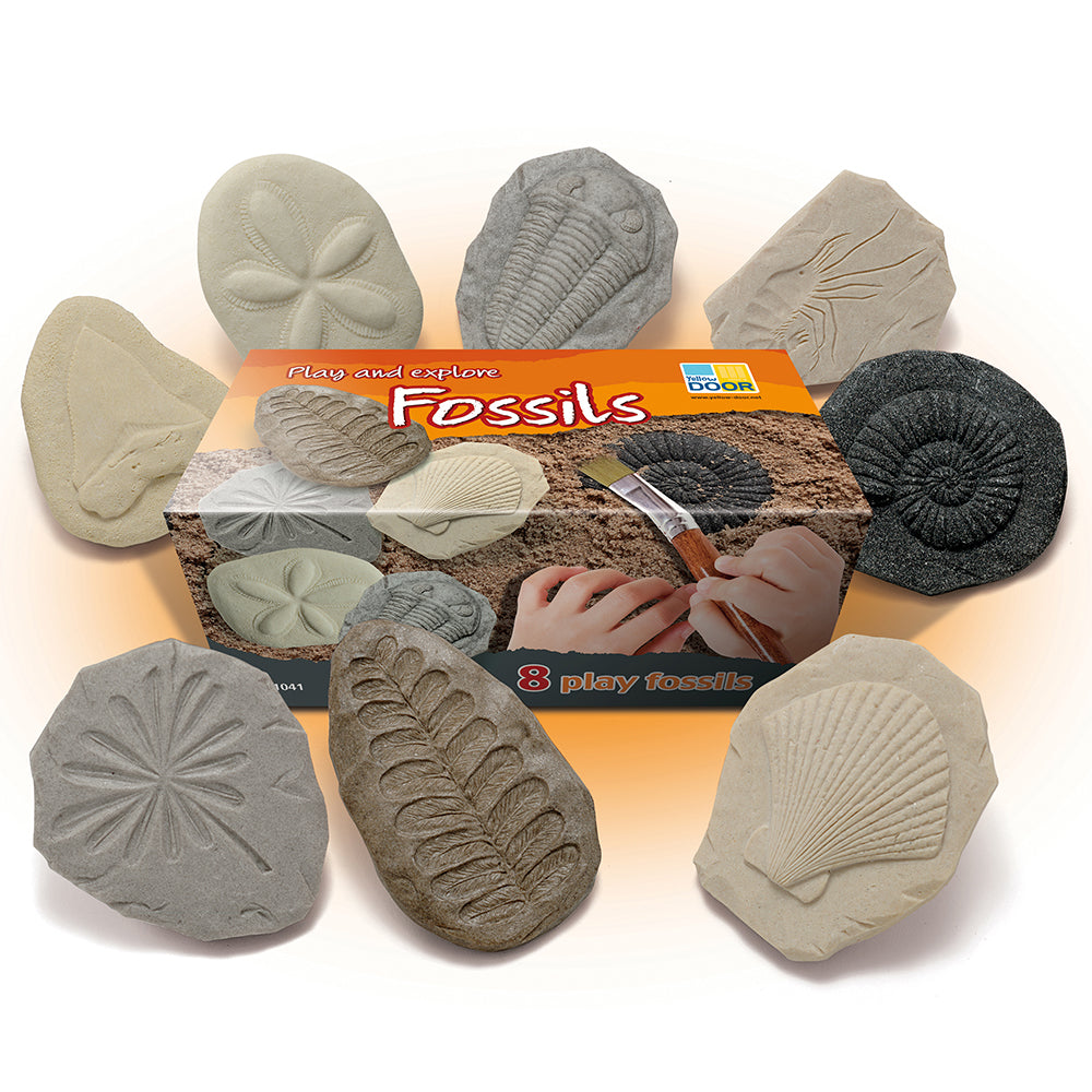 Yellow Door® Let's Investigate Fossils Discovery Kit